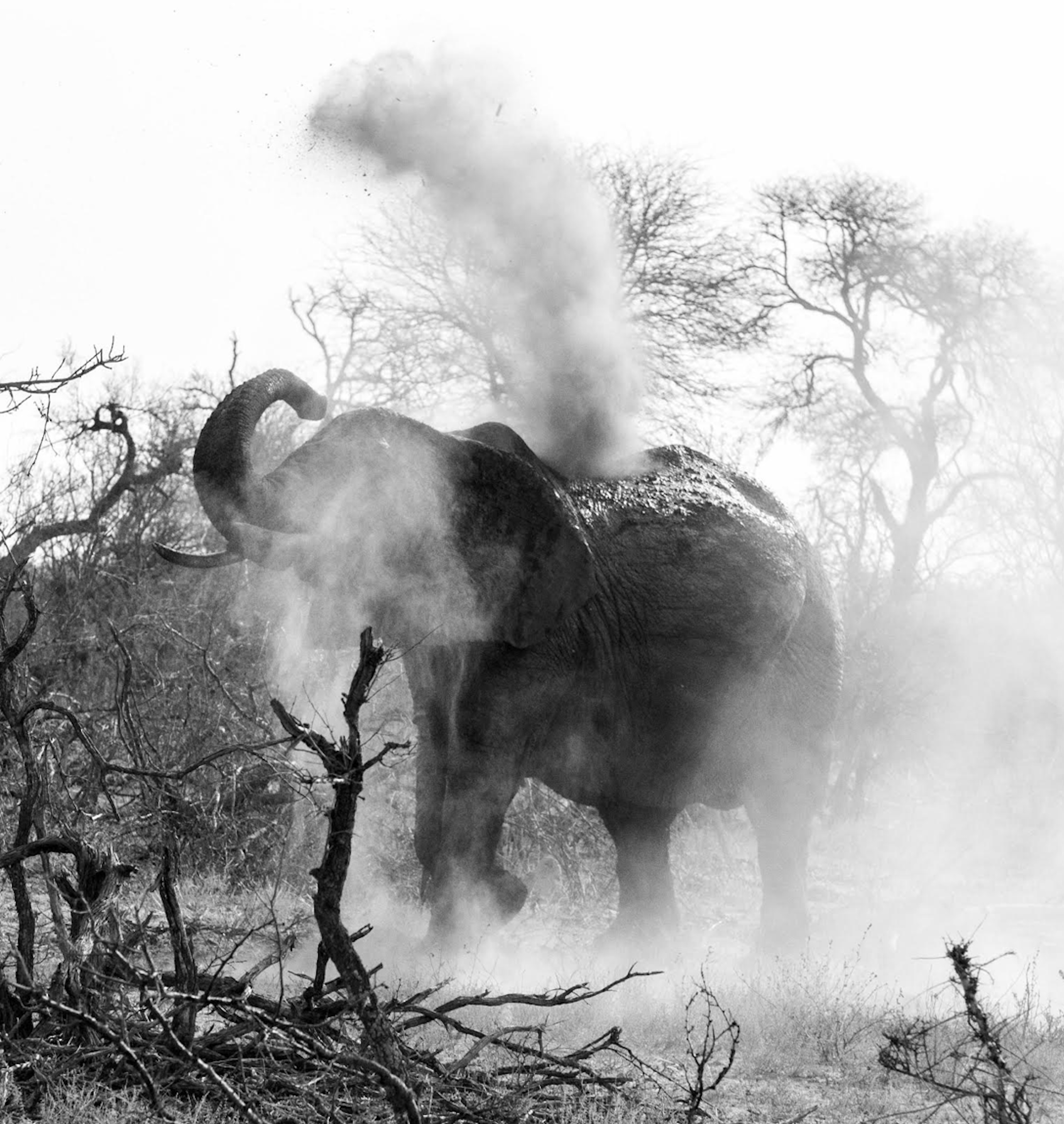 Two Stories by Christopher Linforth – L'Esprit Literary Review