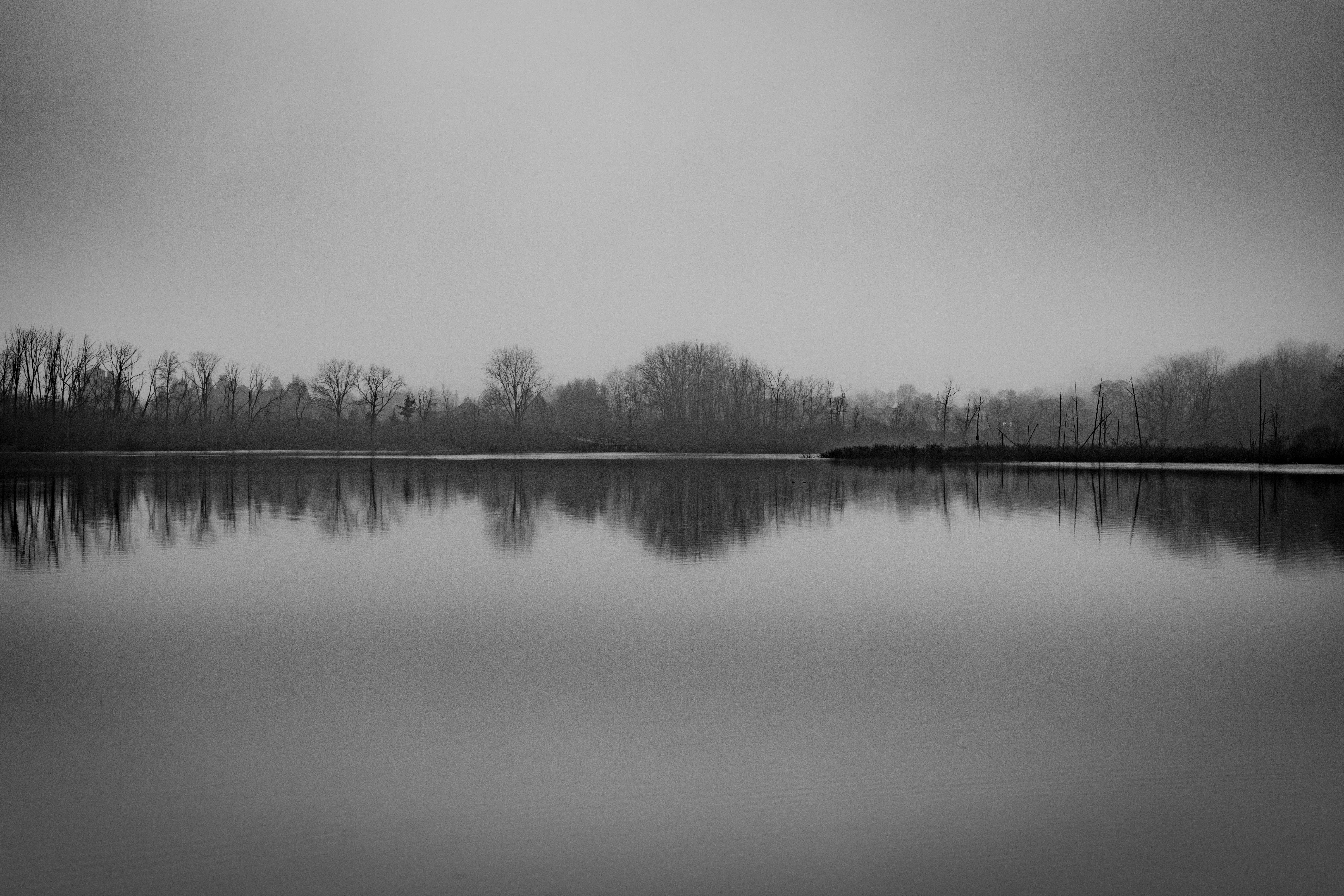 Boys of Summer – L'Esprit Literary Review